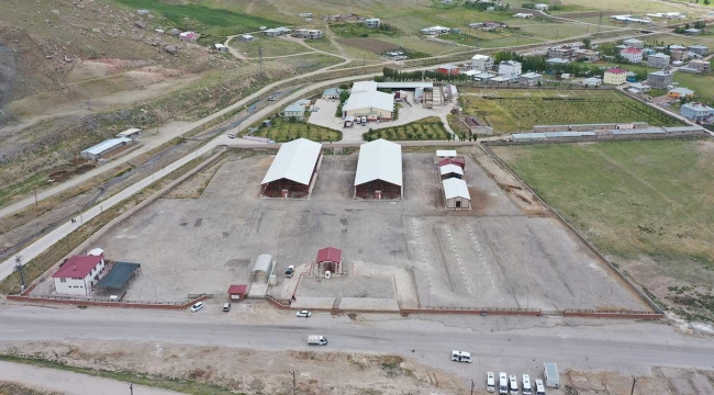 Ağrı Haber - Ağrı Haberleri- Sondakika Ağrı Haberleri